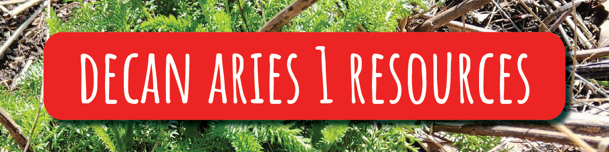 Journey Through the Decans: Aries 1 Info + Resources - Starry Woods ...