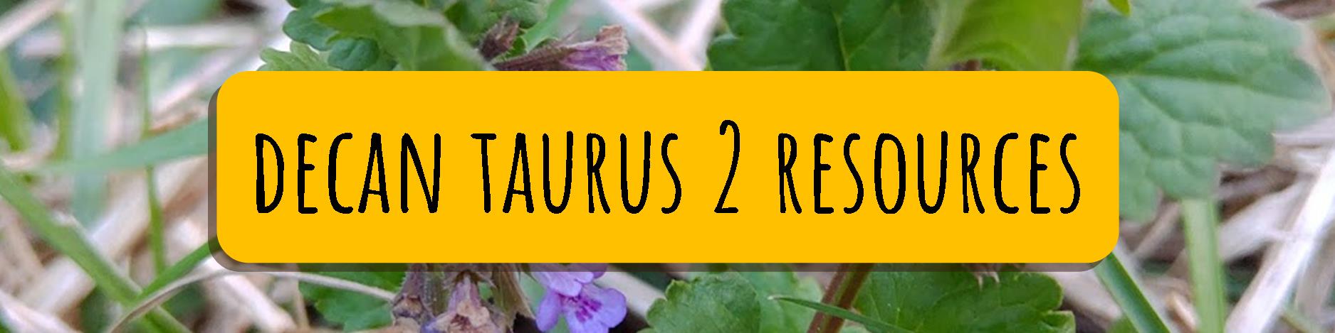 Journey Through the Decans: Taurus 2 Info + Resources - Starry Woods ...